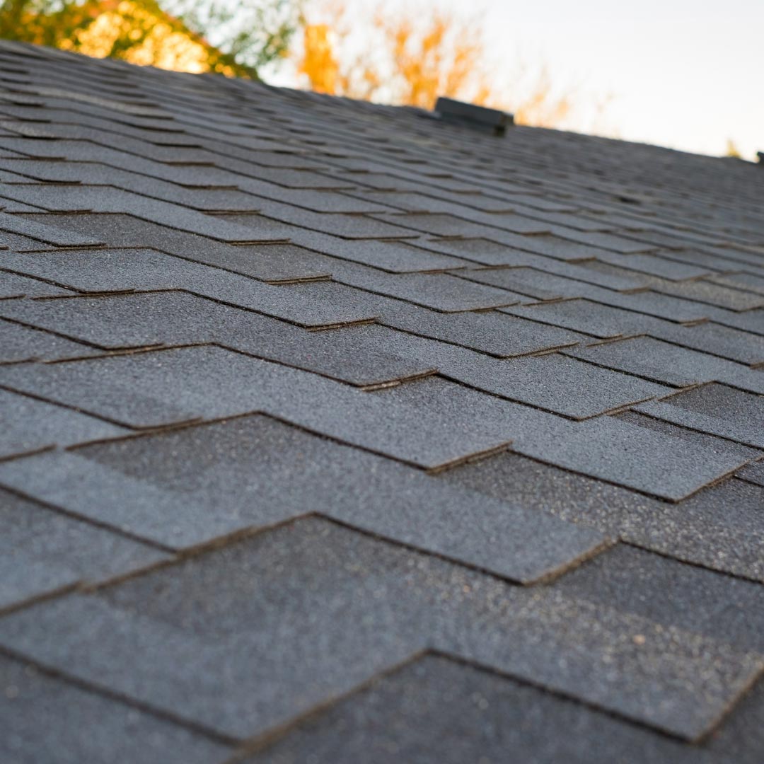 A Comprehensive Guide to Choosing the Perfect Shingles for Your Roof ...
